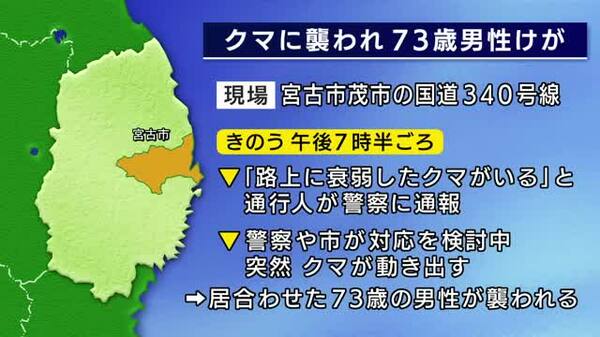 「路上に衰弱したクマ」突然動き出し男性襲われけが クマは山に逃げる 岩手県宮古市｜FNNプライムオンライン