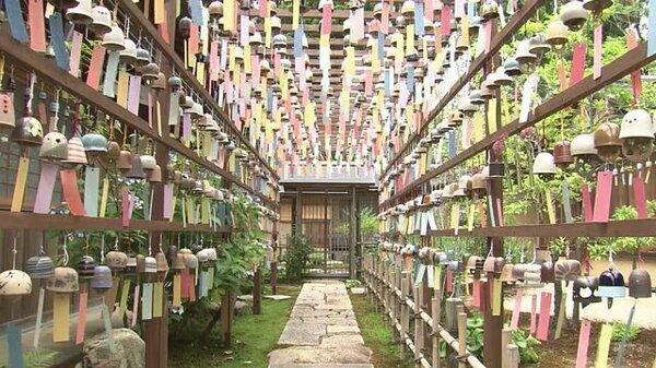 夏風に揺られて涼しげな音色 越前焼「陶ふうりん」4000個 直径30センチの「一尺陶ふうりん」も登場 越前陶芸村【福井】｜FNNプライムオンライン
