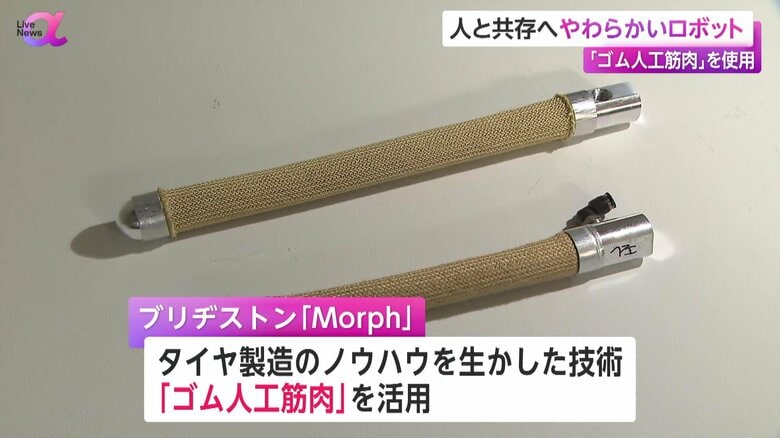 【ゴム人工筋肉】ブリヂストン、やわらかいロボット「Morph」公開 約40年前から研究開発…タイヤ製造ノウハウ活用｜FNNプライムオンライン