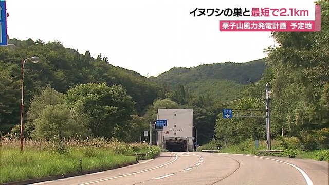＜続報＞イヌワシの巣の存在隠したか？ 準備書10km・研究会調査2.1km…栗子山風力発電計画【山形発】｜FNNプライムオンライン