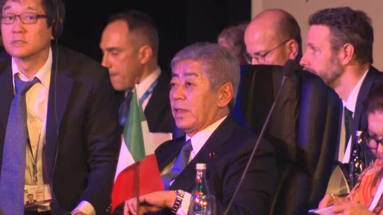 G20会合出席の岩屋外相が南アフリカを出発 中国・王毅氏とも立ち話 ロシアとは接触なし｜FNNプライムオンライン