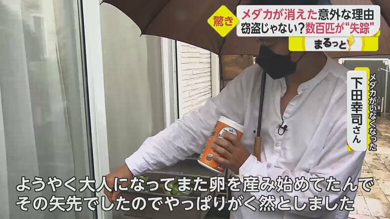 数百匹が消えた…“メダカ泥棒”を突き止めようと設置した防犯カメラにアライグマ 「まさか東京に…」｜FNNプライムオンライン