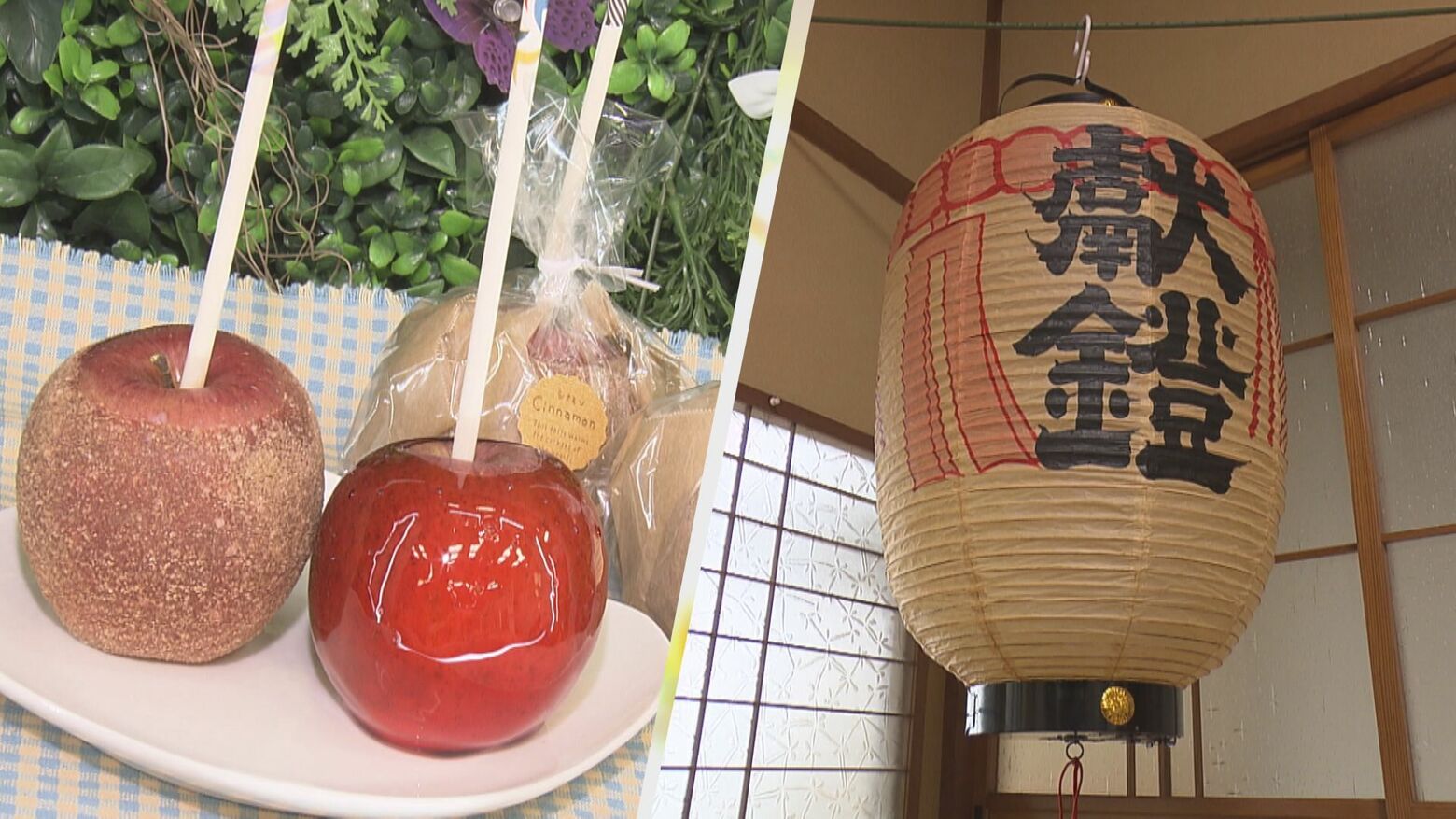 映えと伝統の“二刀流”…キラキラのりんご飴でプチバズリ中の農家 400年以上続く祭りの提灯を未来へ【岐阜発】｜FNNプライムオンライン