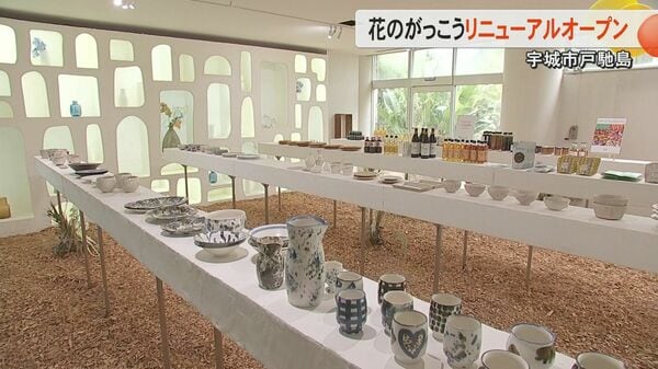 『戸馳花の学校』が『HANAnoGAKKO』としてリニューアル セレクトショップなどが入る複合施設に【熊本発】｜FNNプライムオンライン